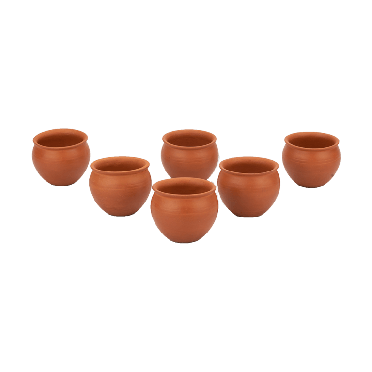 Mitticool Earthen Clay Water Bottle (1 Litre) | Buy Clay Water Bottle ...