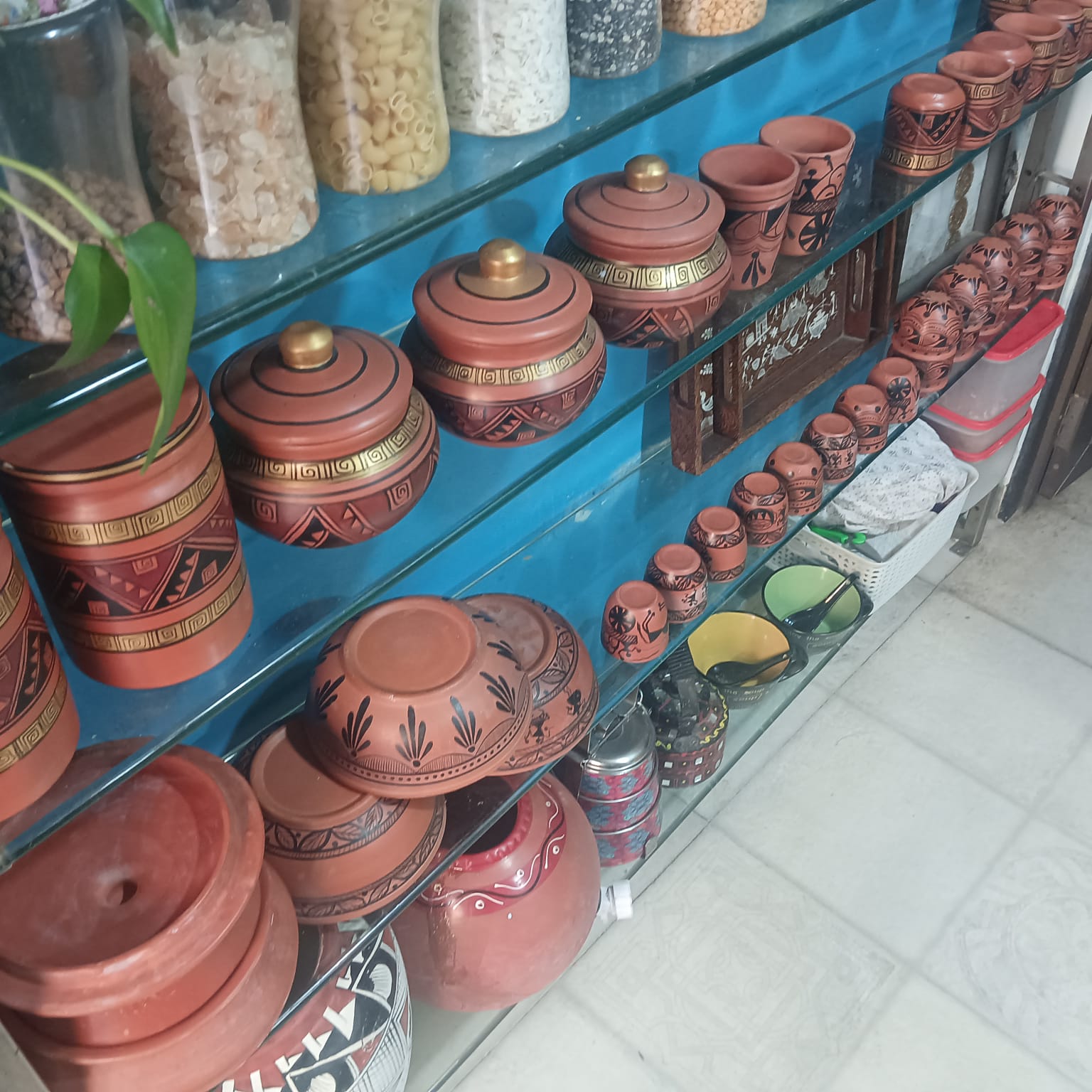 Sushila Gosrani’s Heartwarming Testimonial: Embracing Sustainability ...