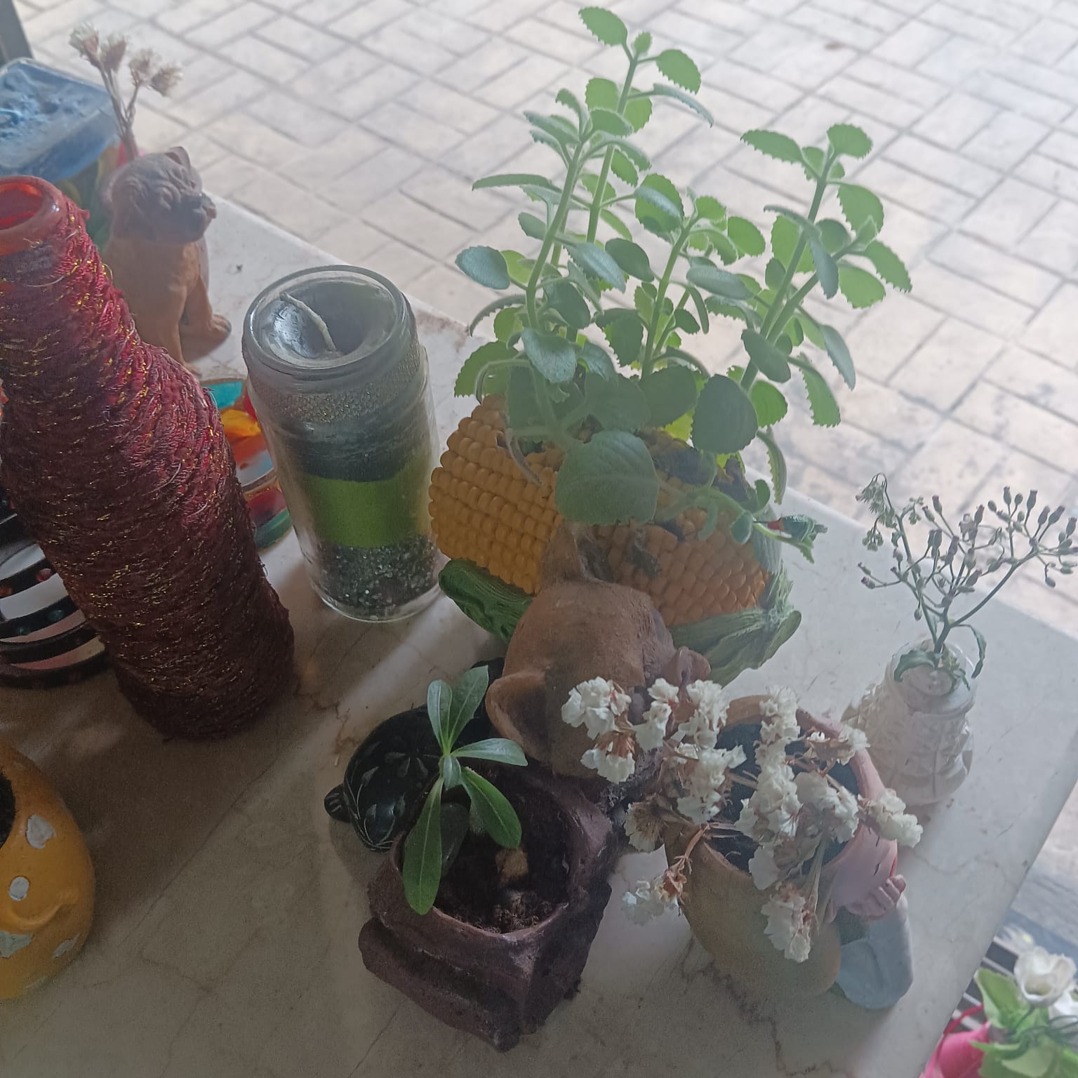 Sushila Gosrani’s Heartwarming Testimonial: Embracing Sustainability ...